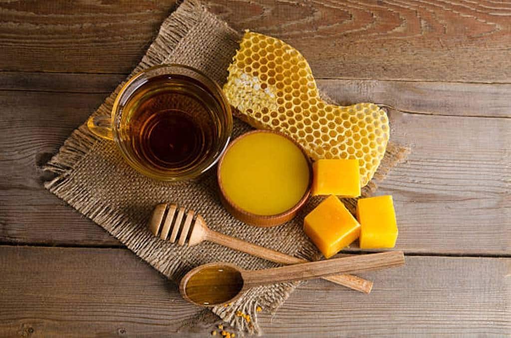 Everything You Need To Know About Beeswax Product 2022