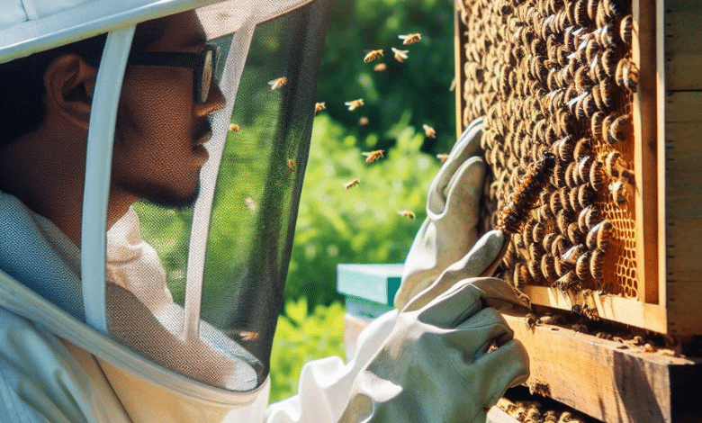 Stingless Bee Honey vs. Regular Honey What’s the Difference? Bees Partners – Beekeeping, Honey ...